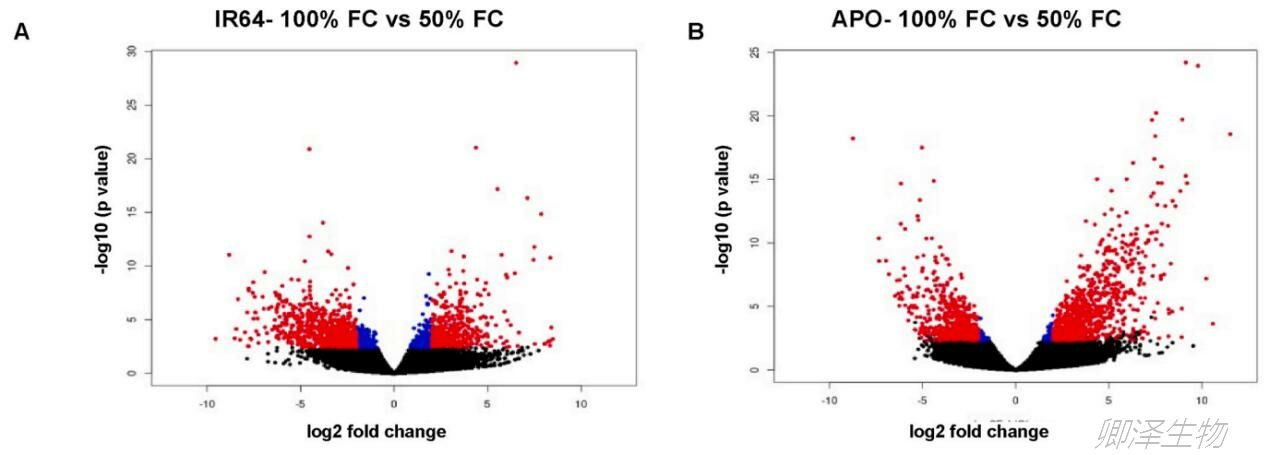 Plant Physiol Biochem. | 水稻抗旱性的m6A表观遗传调控中Polysome profiling的技术应用-公司新闻 ...