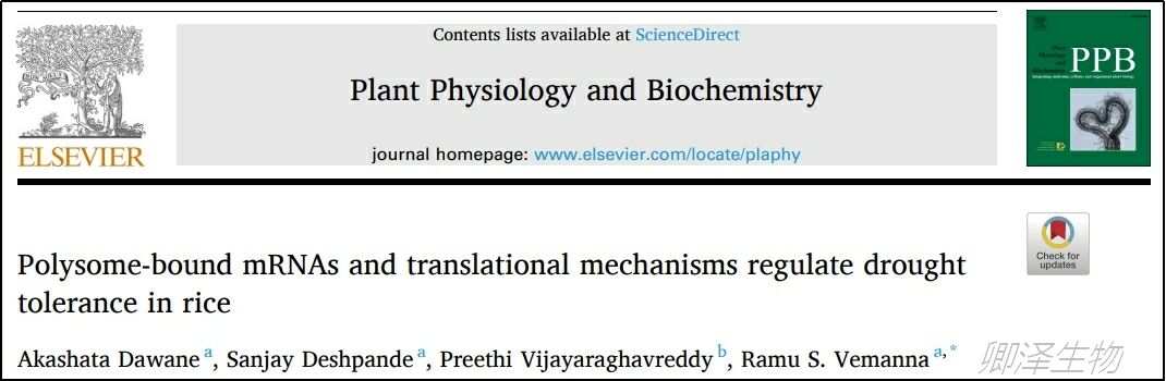 Plant Physiol Biochem. | 水稻抗旱性的m6A表观遗传调控中Polysome profiling的技术应用 - 企业动态 ...