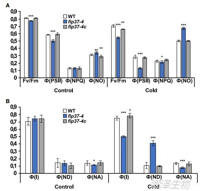 Plant Commun. | 植物叶绿体的m6A表观遗传调控中Polysome profiling的技术应用-公司新闻-广州卿泽生物科技有限公司