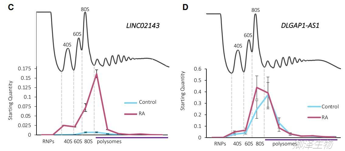 RNA. | Poly-Ribo-Seq技术揭示在人类神经元分化过程中lncRNA的翻译-公司新闻-广州卿泽生物科技有限公司