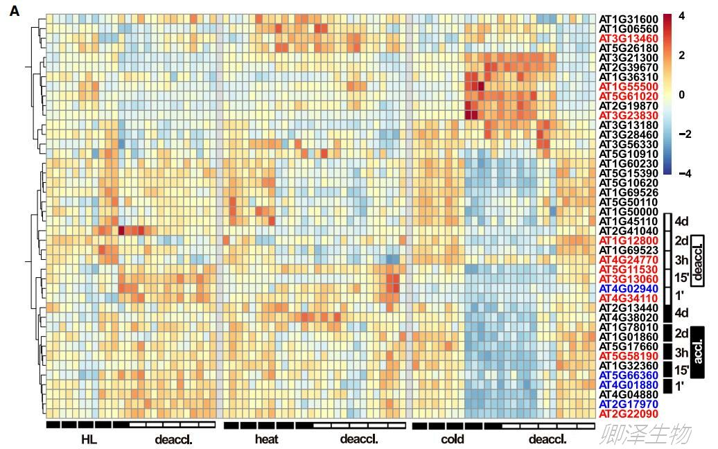 Plant Commun. | 植物叶绿体的m6A表观遗传调控中Polysome profiling的技术应用-公司新闻-广州卿泽生物科技有限公司