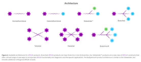 Vector Laboratories｜用于生物偶联疗法BioDesign™ dPEG® Linker连接平台_公司新闻_丁香通