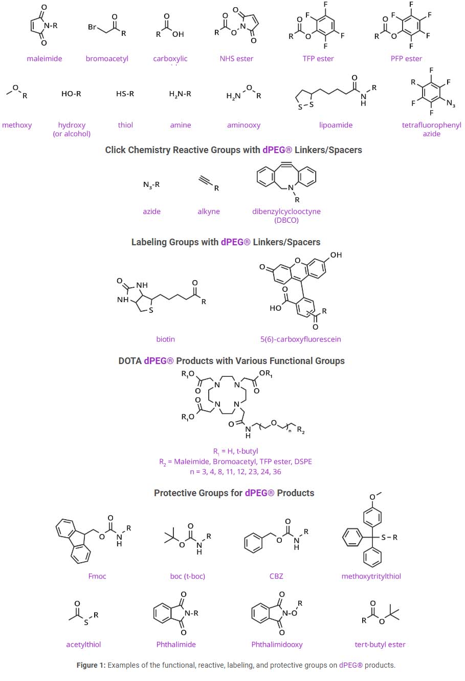 Vector Laboratories｜用于生物偶联疗法BioDesign™ dPEG® Linker连接平台 - 企业动态 - 丁香通