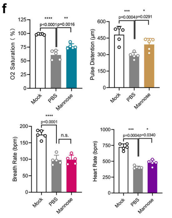 Starr MouseOx | 小动物脉搏血氧仪无创监护大小鼠生命体征，助力流行病治疗研究新进展-公司新闻-上海玉研科学仪器有限公司