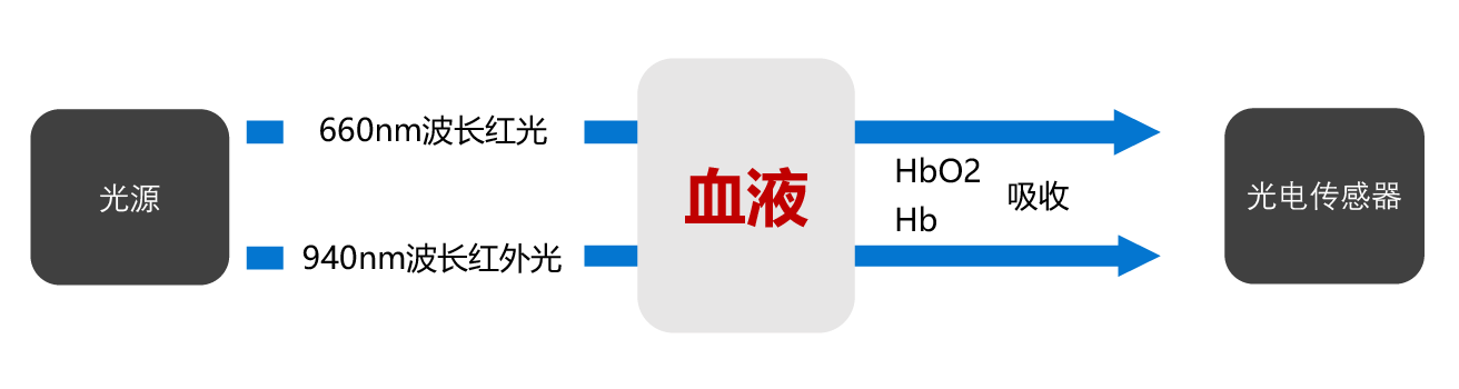 Starr MouseOx | 小动物脉搏血氧仪无创监护大小鼠生命体征，助力流行病治疗研究新进展-公司新闻-上海玉研科学仪器有限公司