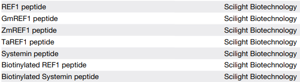 再生因子REF1 Cell | 破解世纪难题——李传友团队首次发现再生因子调控植物组织修复和器官再生-公司新闻-北京中科亚光生物科技有限公司