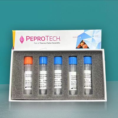 Human M-CSF (10ug)价格_品牌:PeproTech-丁香通官网