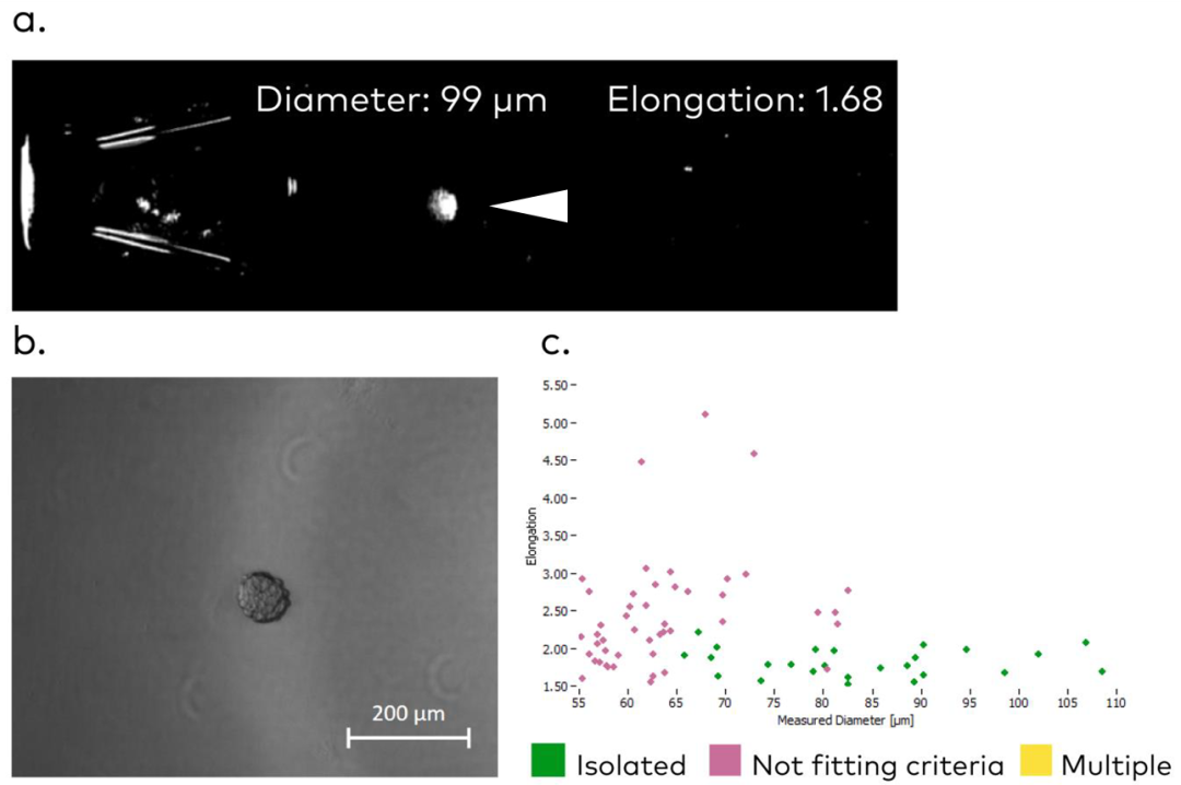 spheroONE与GrowDex®携手，开启3D细胞培养新篇章-公司新闻-Scienion GmbH