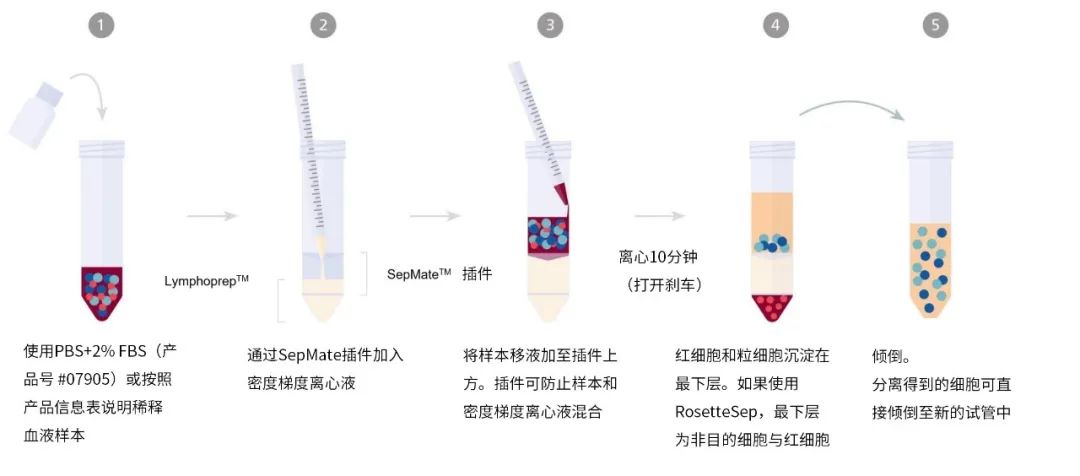 密度梯度离心管SepMate™-15价格_品牌:STEMCELL Technologies-丁香通