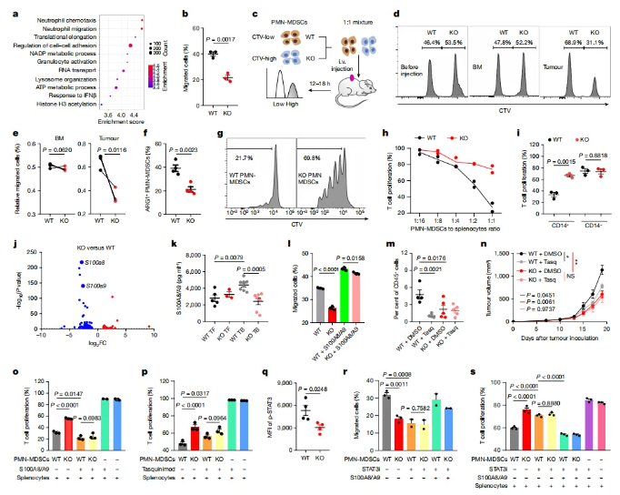 Nature：广谱抗癌新靶点 - 中国科学家发现中性粒细胞免疫抑制受体CD300ld可逆转肿瘤免疫抑制-公司新闻-鼠来宝（武汉）生物科技有限公司
