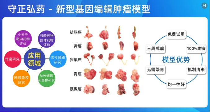 Nature：广谱抗癌新靶点 - 中国科学家发现中性粒细胞免疫抑制受体CD300ld可逆转肿瘤免疫抑制-公司新闻-鼠来宝（武汉）生物科技有限公司