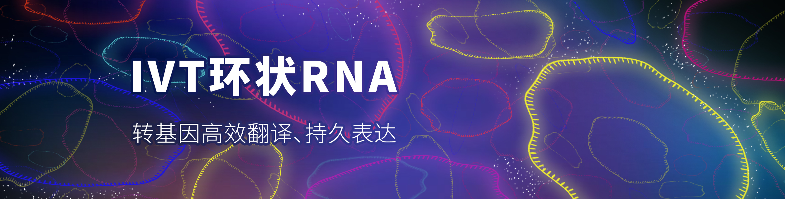 mRNA疫苗2.0——一文了解IVT环状RNA特点与优势-公司新闻-云舟生物科技（广州）股份有限公司