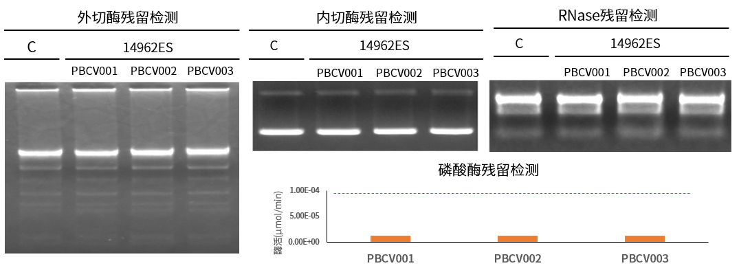 上新 | PBCV DNA Ligase（SplintR连接酶）：连接性能远超T4 连接酶，适用于原位测序、高灵敏RNA 检测 - 企业动态 ...