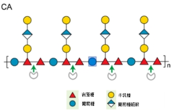 可拉酸（Colanic acid）的理化特征及应用前景 - 企业动态 - 丁香通