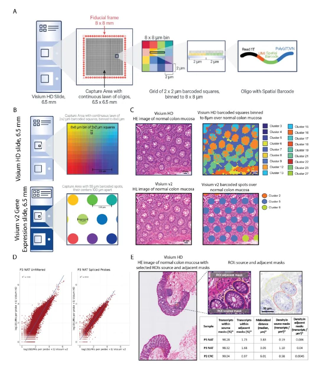 全球首篇Visium HD 文章上线！10x单细胞/空间/原位技术从不同维度相互佐证，助力更多发现！-公司新闻-上海仁科生物科技有限公司