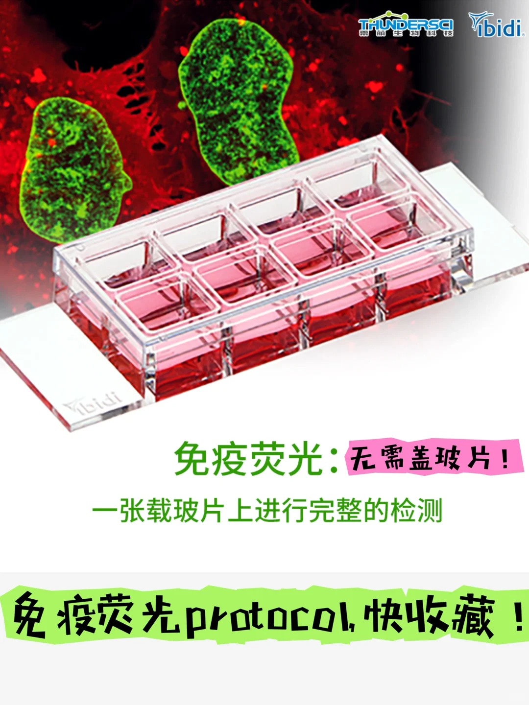 免疫荧光检测一体化解决方案-无需盖玻 - 企业动态 - 丁香通