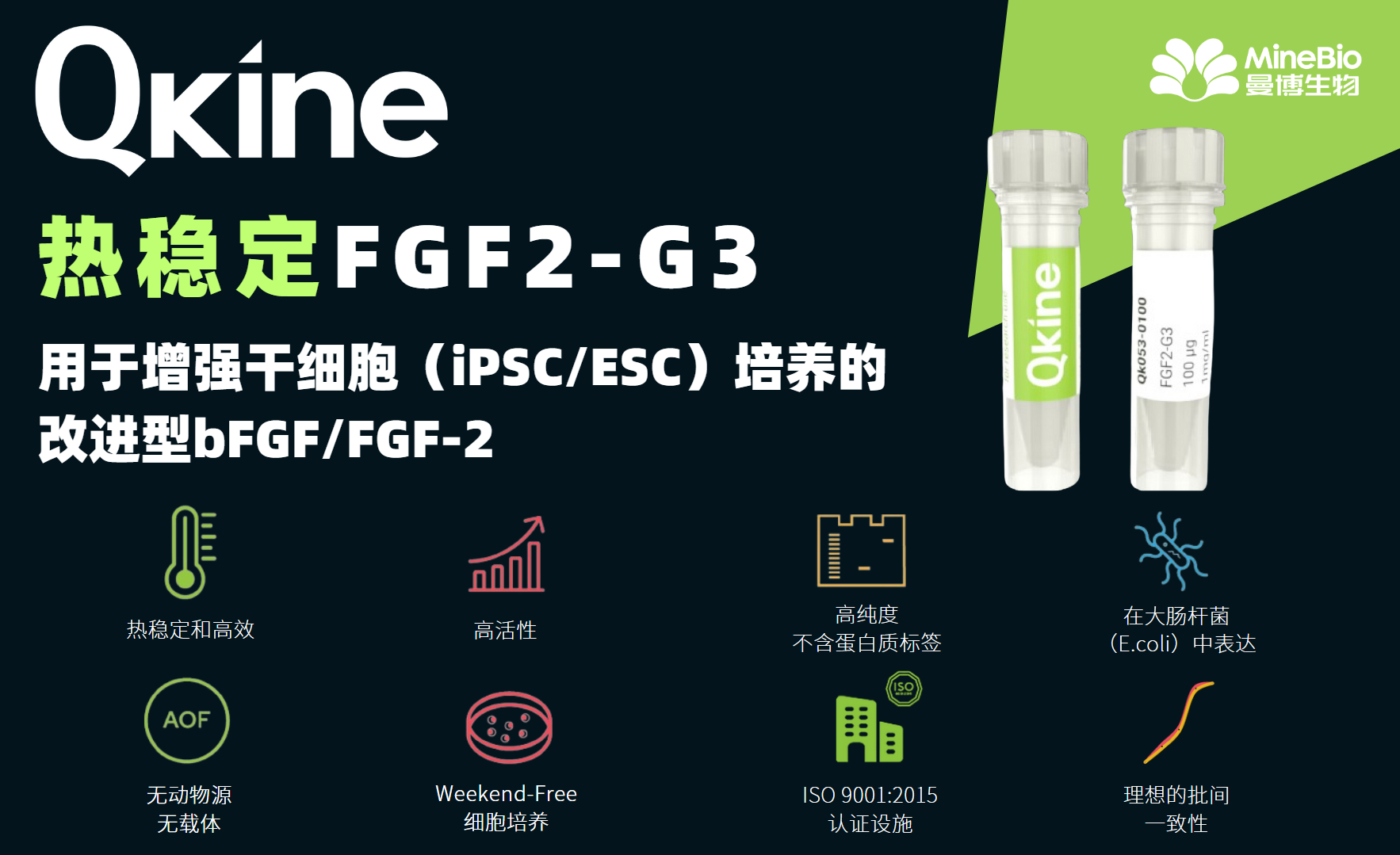 QKine FGF2-G3（二）--无需周末换液的干细胞培养热稳定FGF-2（bFGF）-公司新闻-上海曼博生物医药科技有限公司