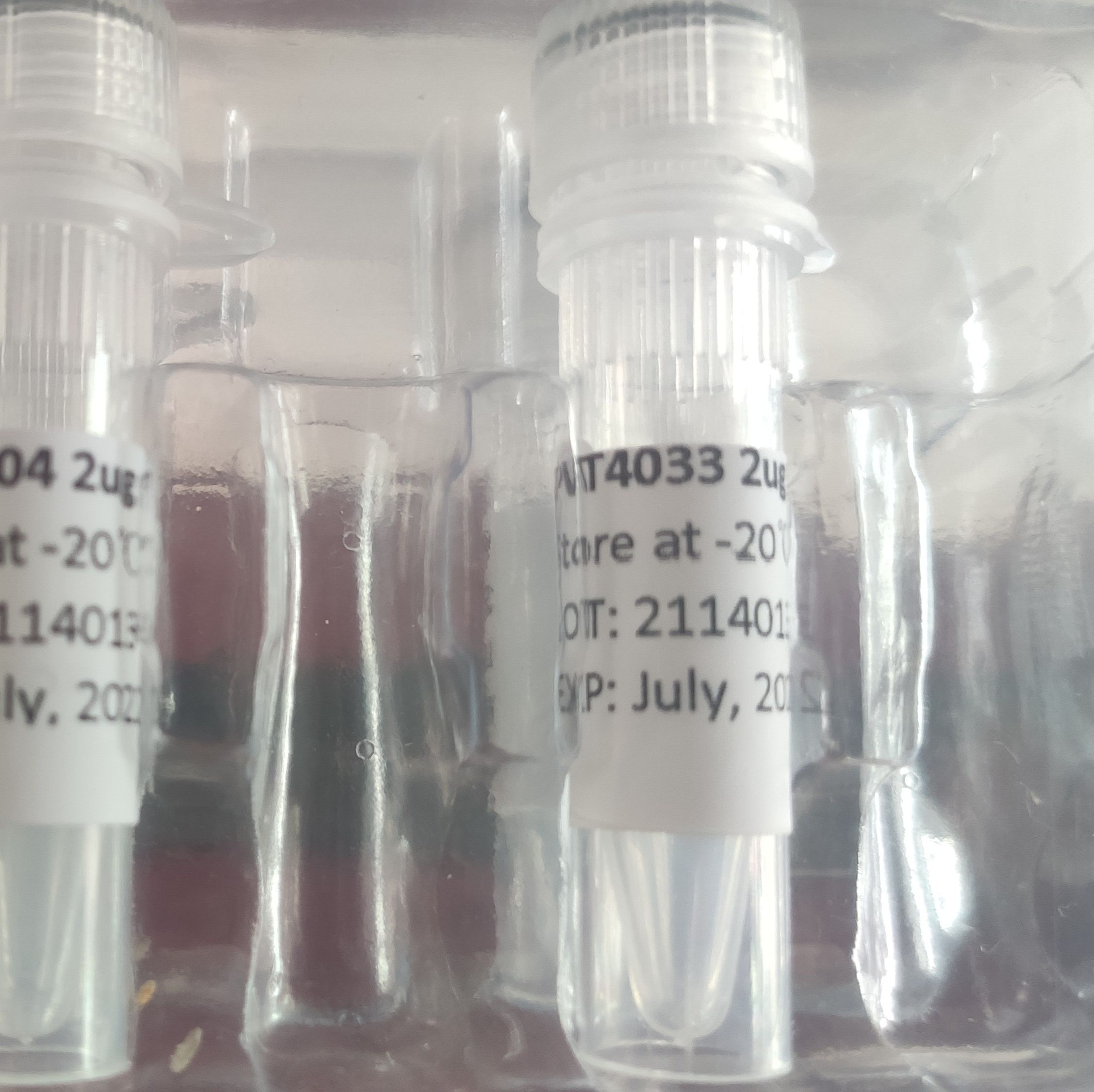 pCMV-Lpcat3-EGFP-Neo Plasmid价格_品牌:LSM BIO-丁香通官网