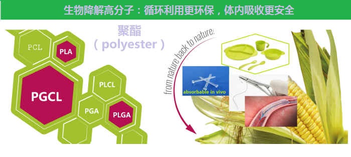 PGCL：一种具有优异生物相容性和多功能性的生物高分子材料 - 企业动态 - 丁香通