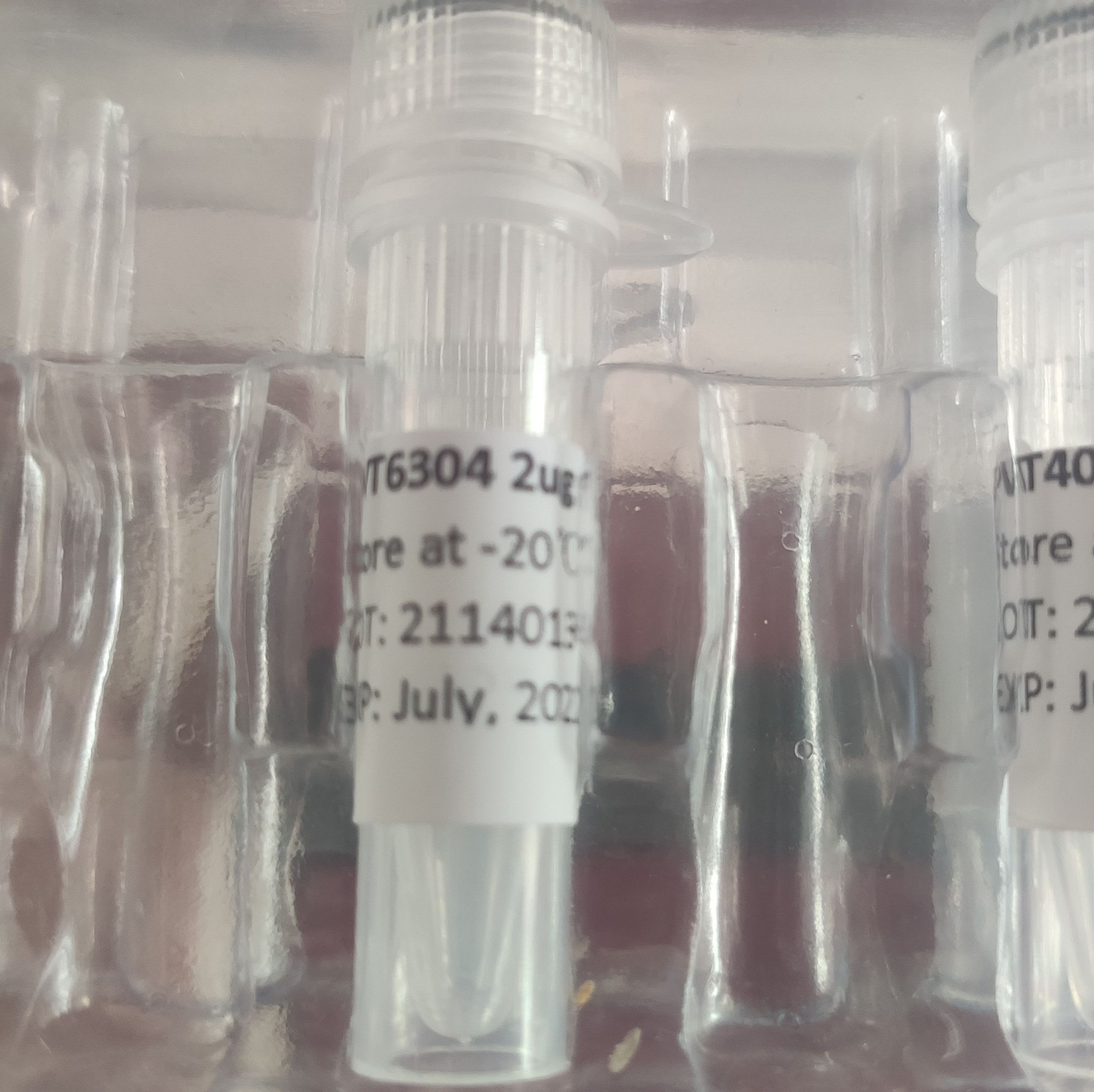 pLV2-CMV-ESYT1-Myc-Neo Plasmid价格_品牌:LSM BIO-丁香通官网