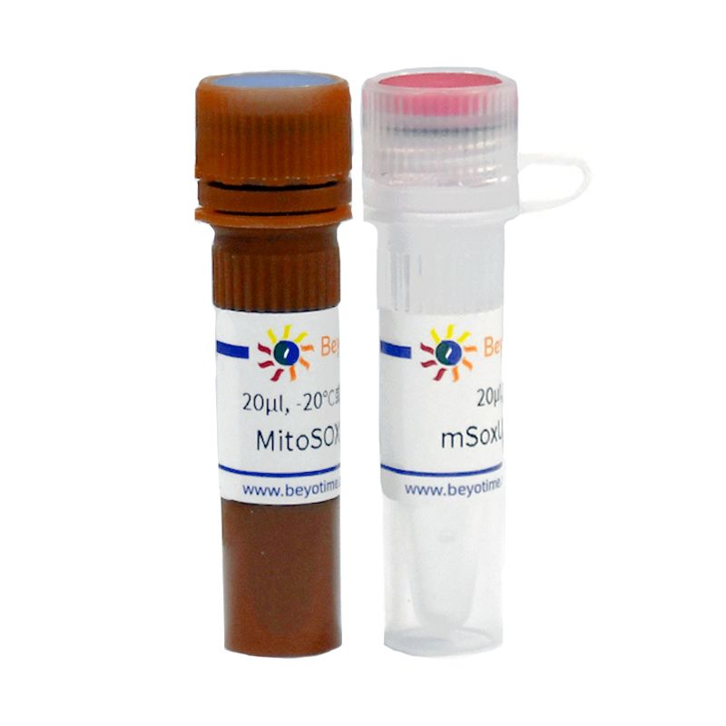 线粒体超氧化物检测试剂盒(MitoSOX Red)价格_品牌:碧云天（beyotime）-丁香通