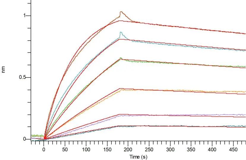 八次跨膜蛋白NaPi2b—肺癌与卵巢癌治疗的种子选手？-公司新闻-苏州近岸蛋白质科技股份有限公司