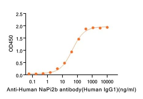 八次跨膜蛋白NaPi2b—肺癌与卵巢癌治疗的种子选手？ - 企业动态 - 丁香通