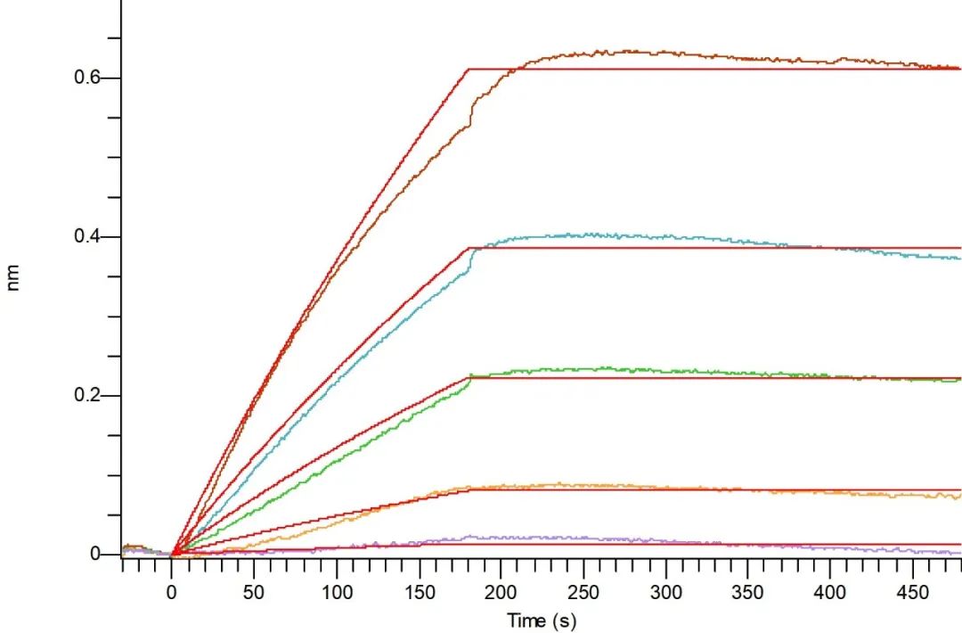 八次跨膜蛋白NaPi2b—肺癌与卵巢癌治疗的种子选手？-公司新闻-苏州近岸蛋白质科技股份有限公司