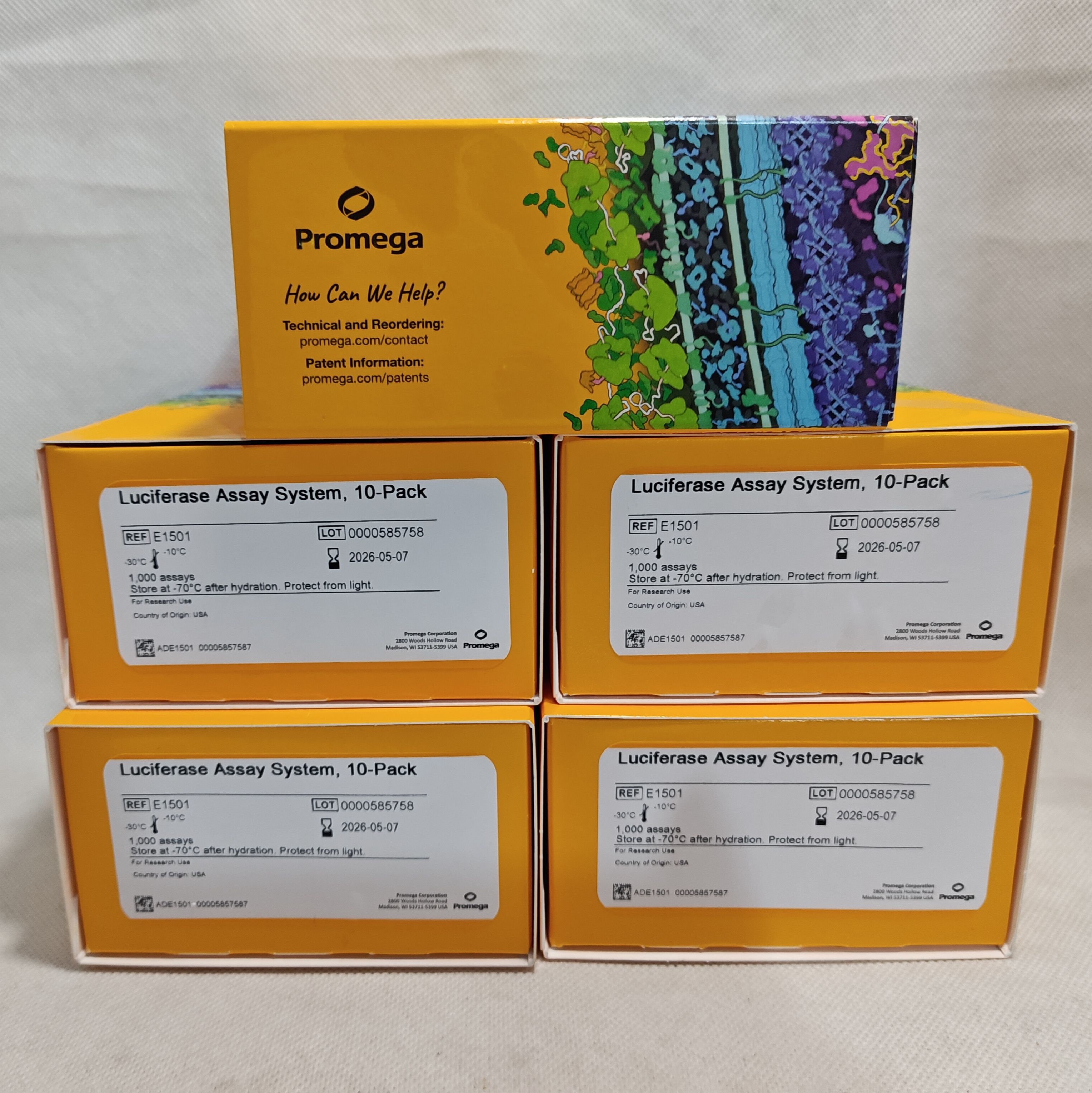 Promega E1501 Luciferase Assay System（ 萤光素酶检测系统）10次价格_品牌:Promega-丁香通