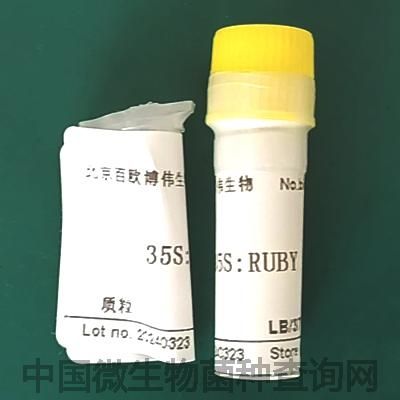 35S:RUBY价格_品牌:百欧博伟-丁香通官网