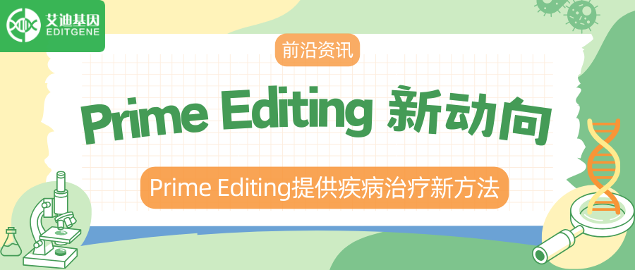 【前沿资讯】Prime Editing新动向-Prime editing提供疾病治疗新方法-公司新闻-广州艾迪基因科技有限责任公司