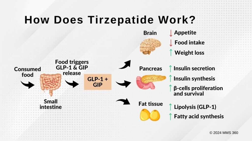 礼来替尔泊肽Tirzepatide，减肥药物对决：替尔泊肽 vs司美格鲁肽_企业动态_丁香通