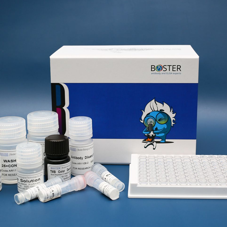 Mouse B7-1/CD80 ELISA Kit价格_品牌:BOSTER-丁香通官网