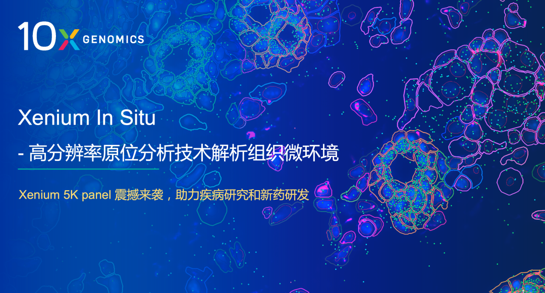 突破！10x Genomics Xenium技术实现基因原位检测新高度，空间生物学文章大爆发？-公司新闻-上海仁科生物科技有限公司