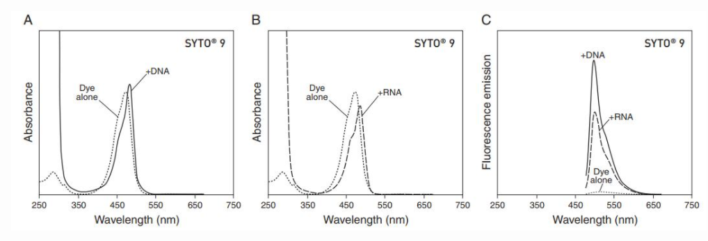 SYTO 9 Green Fluorescent Nucleic Acid stain (5 mM in DMSO）价格_品牌:LABLEAD ...