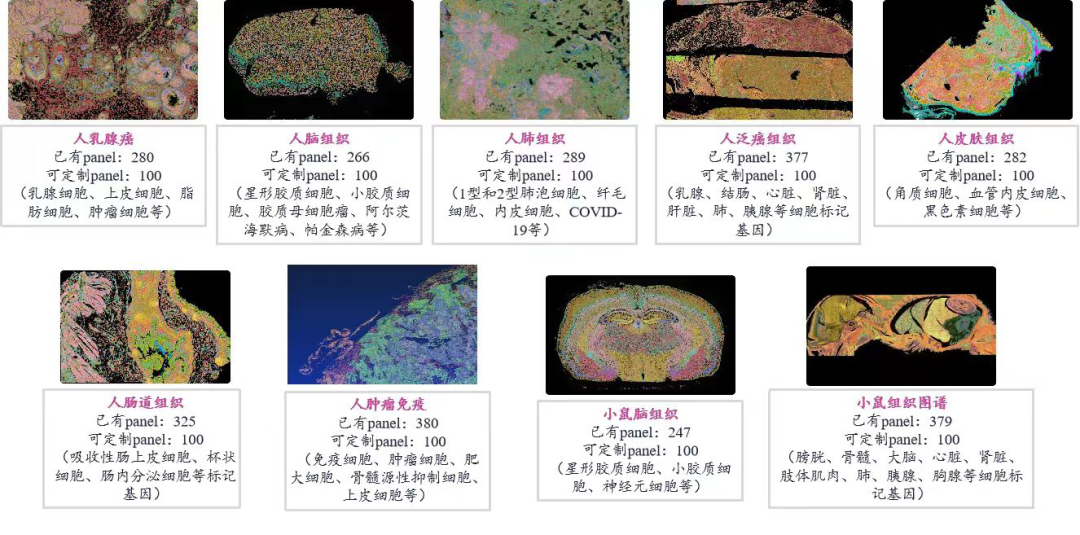 突破！10x Genomics Xenium技术实现基因原位检测新高度，空间生物学文章大爆发？ - 企业动态 - 丁香通