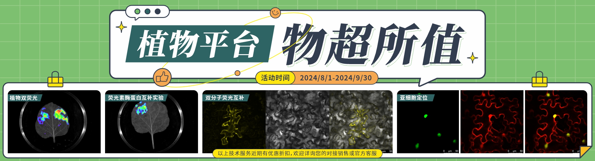 荧火素酶互补实验（Luciferase Complementation Assay, LCA）| 荧光素酶互补成像技术（Luciferase ...