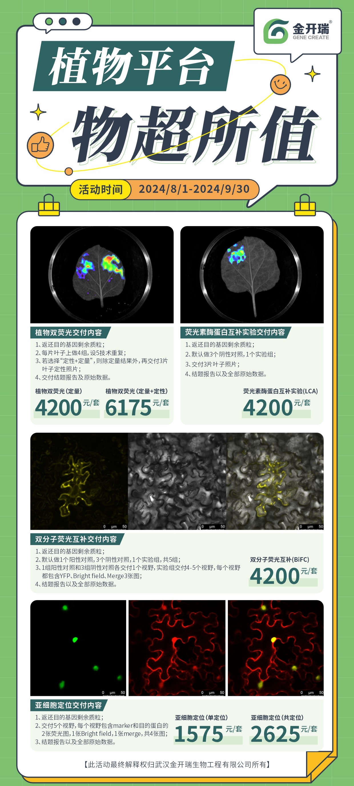 荧火素酶互补实验（Luciferase Complementation Assay, LCA）| 荧光素酶互补成像技术（Luciferase ...
