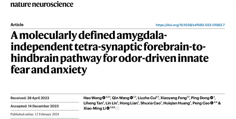 STARR MouseOx | 大小鼠清醒、无创长期血氧监测——脉搏血氧仪-公司新闻-上海玉研科学仪器有限公司