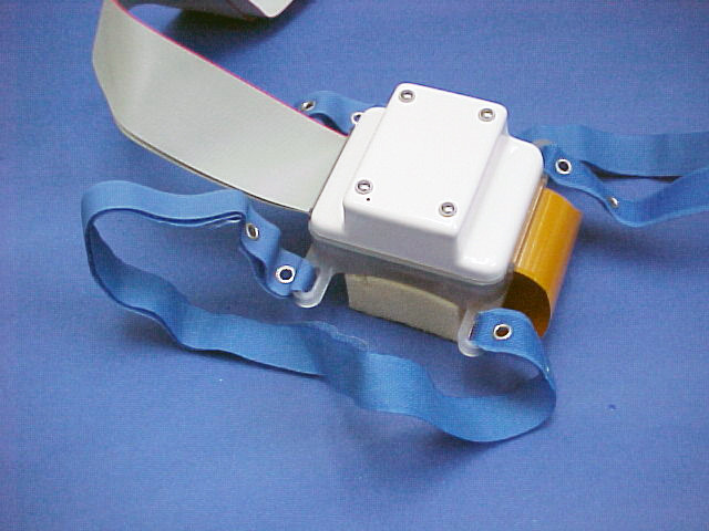 BioSemi 32/64/128/256道脑电仪及事件相关电位EEG/ERP价格_品牌:Biosemi-丁香通