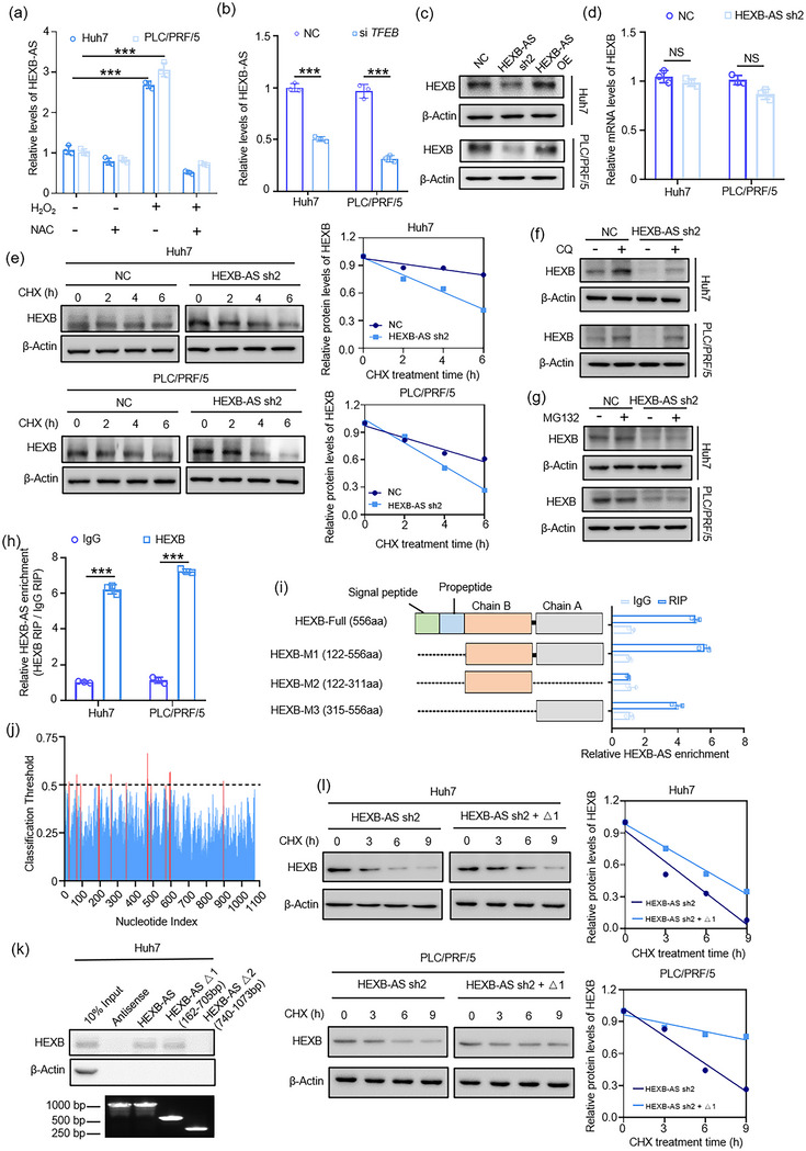 看15+文章——如何研究细胞外囊泡和氧化应激！ - 企业动态 - 丁香通