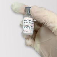 RSV：pre-F蛋白（呼吸道合胞病毒）价格_品牌:ACROBiosystems-丁香通