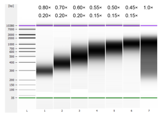 DNA分选磁珠操作指南(DNA Selection Beads)_已完成_丁香学社_丁香通