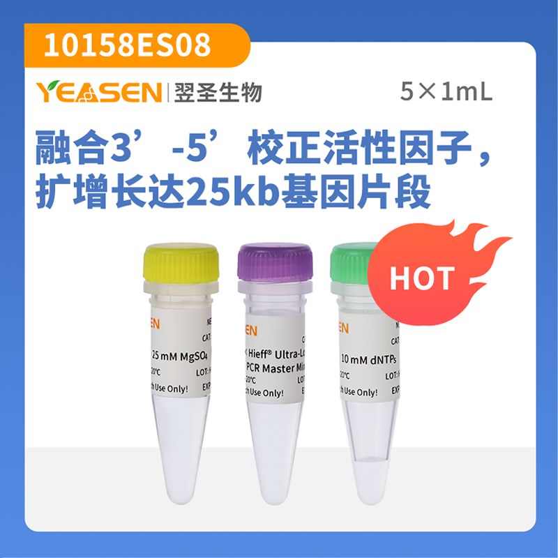 高保真酶预混液 PCR预混液 PCR Master Mix(With Dye) ,分子生物学-翌圣生物科技（上海）股份有限公司