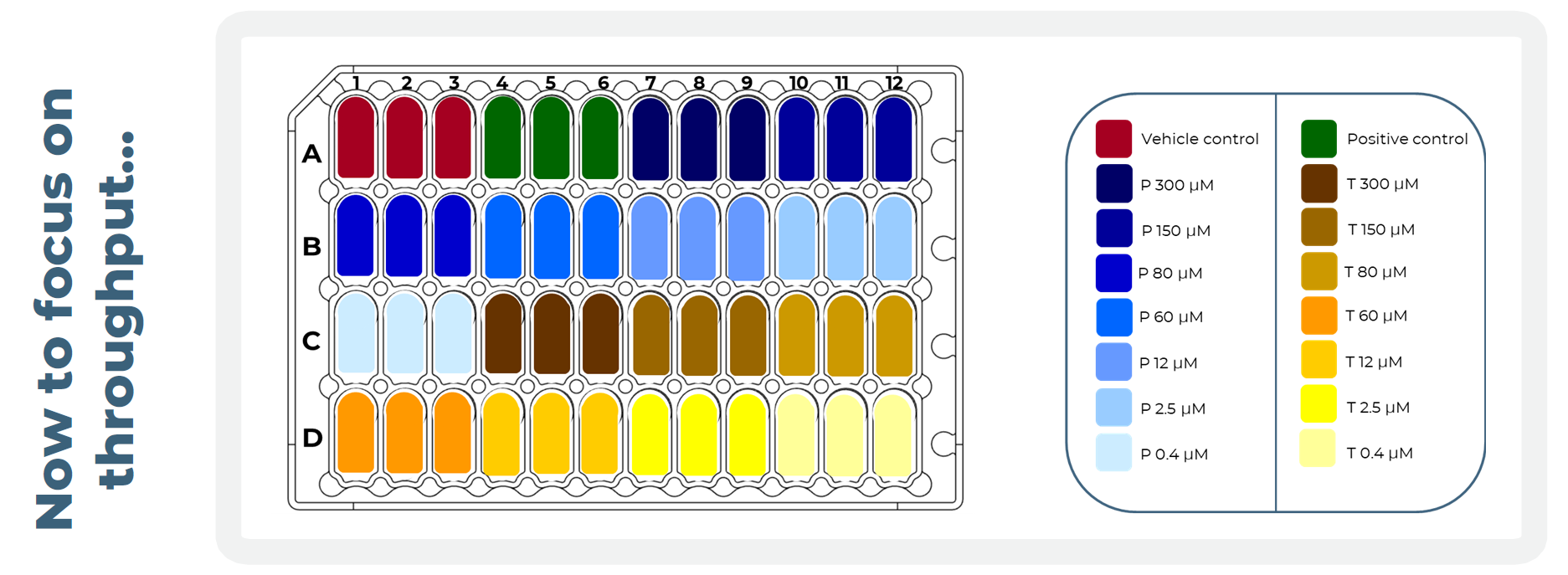 新品发布｜CN Bio HT system微流控高通量器官芯片系统_曼博生物-公司新闻-上海曼博生物医药科技有限公司