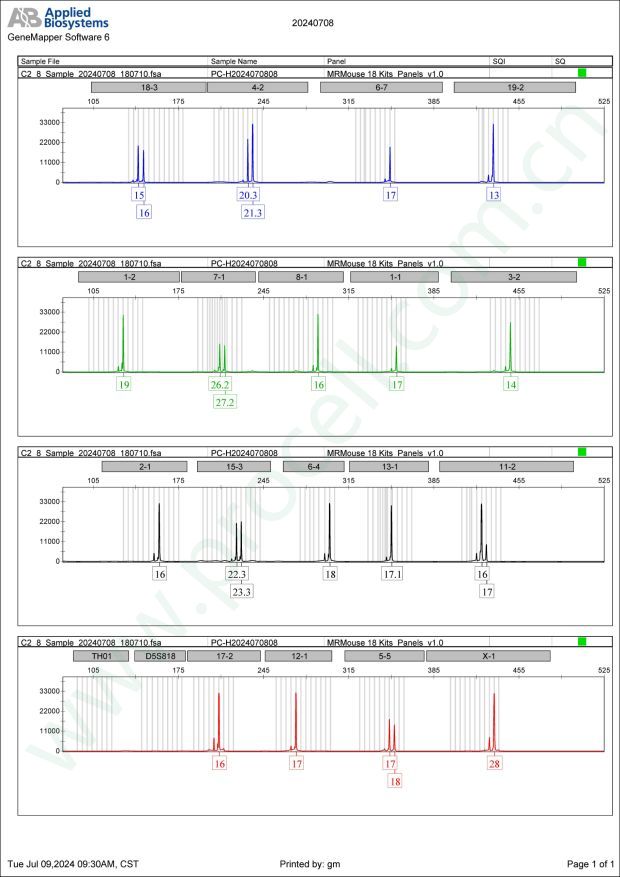 DC2.4 (小鼠骨髓来源树突状细胞) (STR鉴定正确)价格_品牌:普诺赛-丁香通