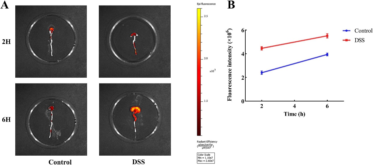 【J COLLOID INTERF SCI】9+，含有小檗碱的间充质干细胞衍生的外泌体用于溃疡性结肠炎治疗-公司新闻-研载生物科技（上海）有限公司
