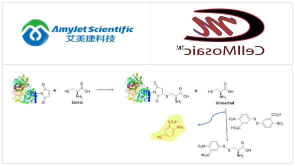 CellMosaic马来酰亚胺检测试剂盒，助力内部生物偶联相关研究 - 试剂 - 丁香通