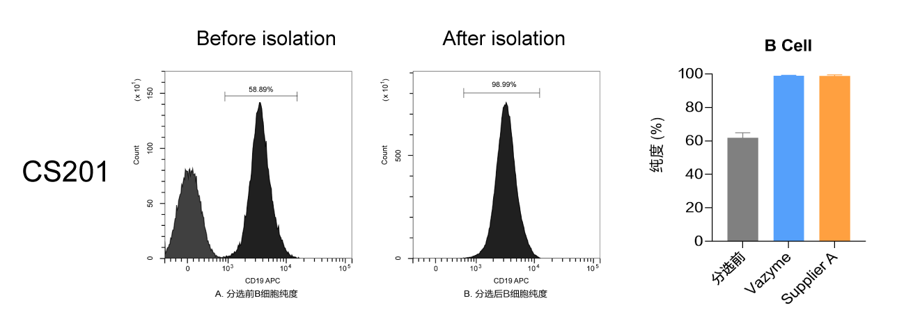 Mouse （Pan）B Cell Isolation Kit（ CS201/ CS202）价格_品牌:诺唯赞（Vazyme）-丁香通