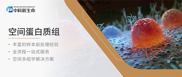 Mol Cancer（IF：27.7）| Mol Cancer（IF：27.7）| 全新洞察！看空间癌症生物学图谱如何赋能肿瘤研究！ - 企业 ...